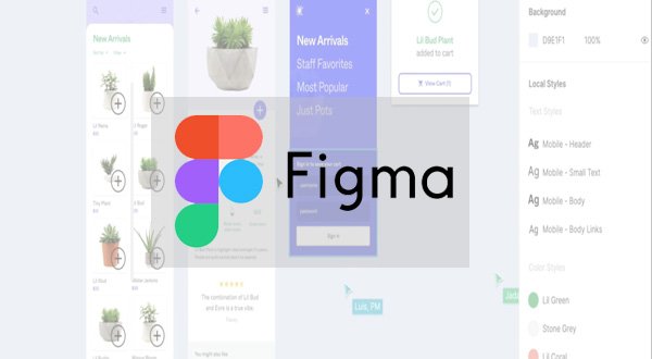 Learn & Grow with Figma-User Guide 2022
